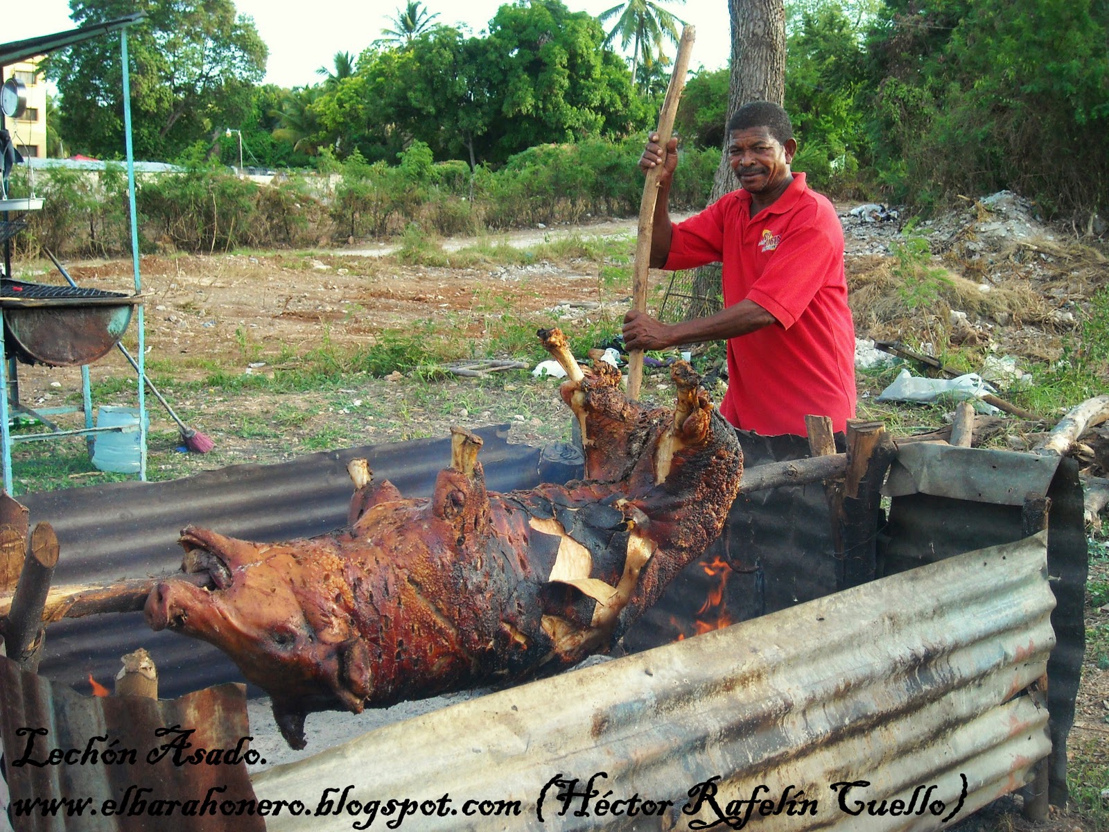 Lechón asado en Barahona|El Barahonero