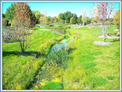 Reminiscence: GEORGE GEORGE PARK - Autumn 2008