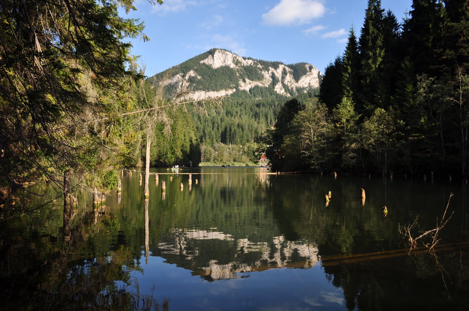 Gheorghiţã Nemţanu : Red lake