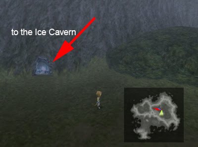 Walkthrough Final Fantasy 9: (3) Evil Forest, Mist Continent, Ice Cavern