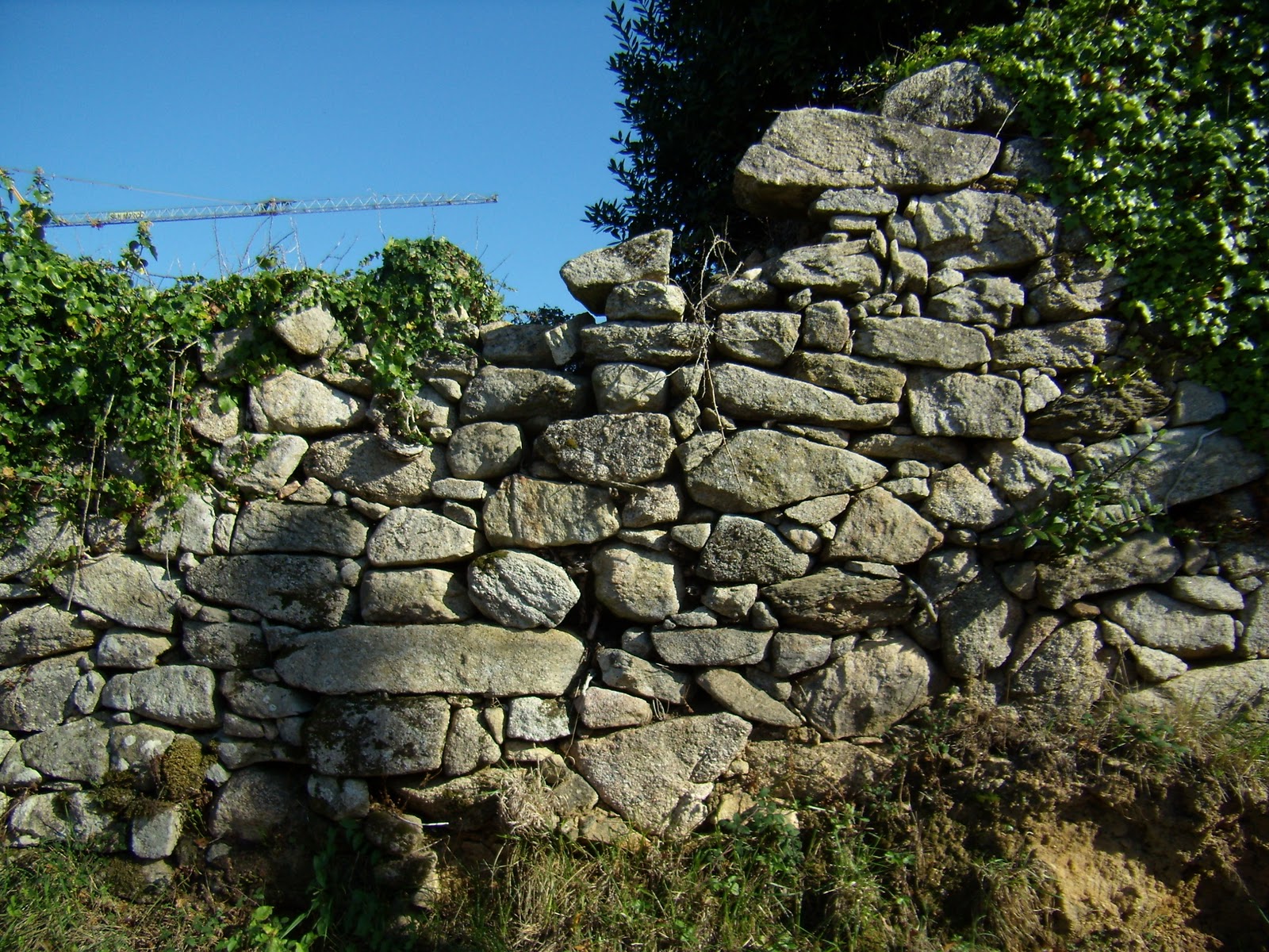 Vlad Y118 Alina Custom Set