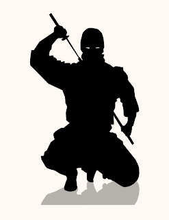 Ninja: Ninja Shadow
