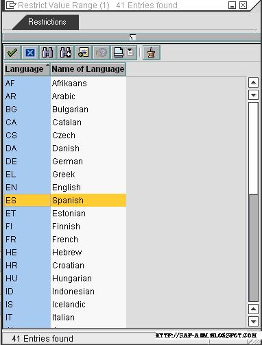 Instalar idioma Español en SAP Netweaver | Administración SAP