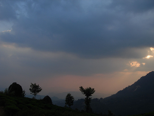Pothamedu in Munnar, Pothamedu View Point,Pothamedu View Point in ...