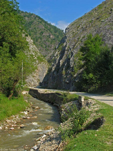 Runcu Gorges | True Romania