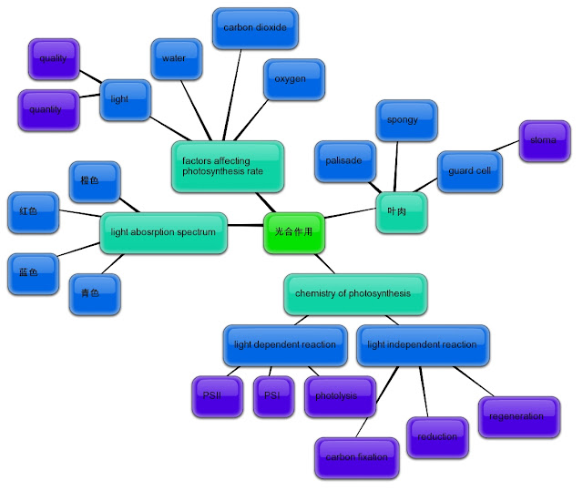 应该不懂一些什么东西之类的: 老爷我的mind map