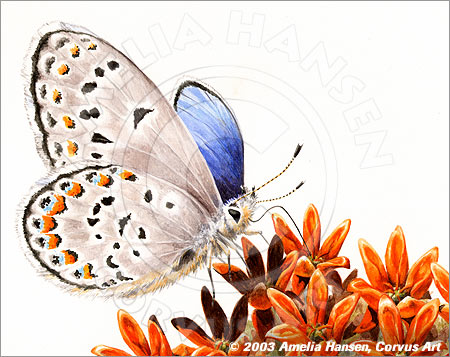 Untuk Kanak-Kanak Riang Dan Cute-Cute