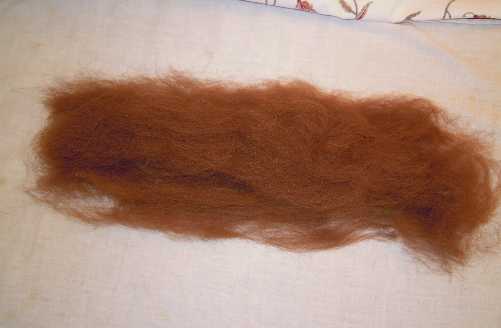 The Inconsequential Blogger: Stalking the wild asparagus - plus ...