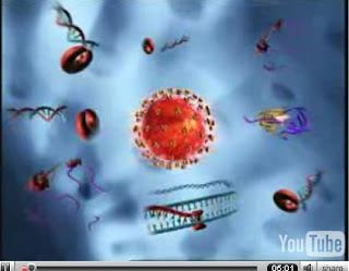 About HIV/AIDS: 3D Animation of HIV Replication