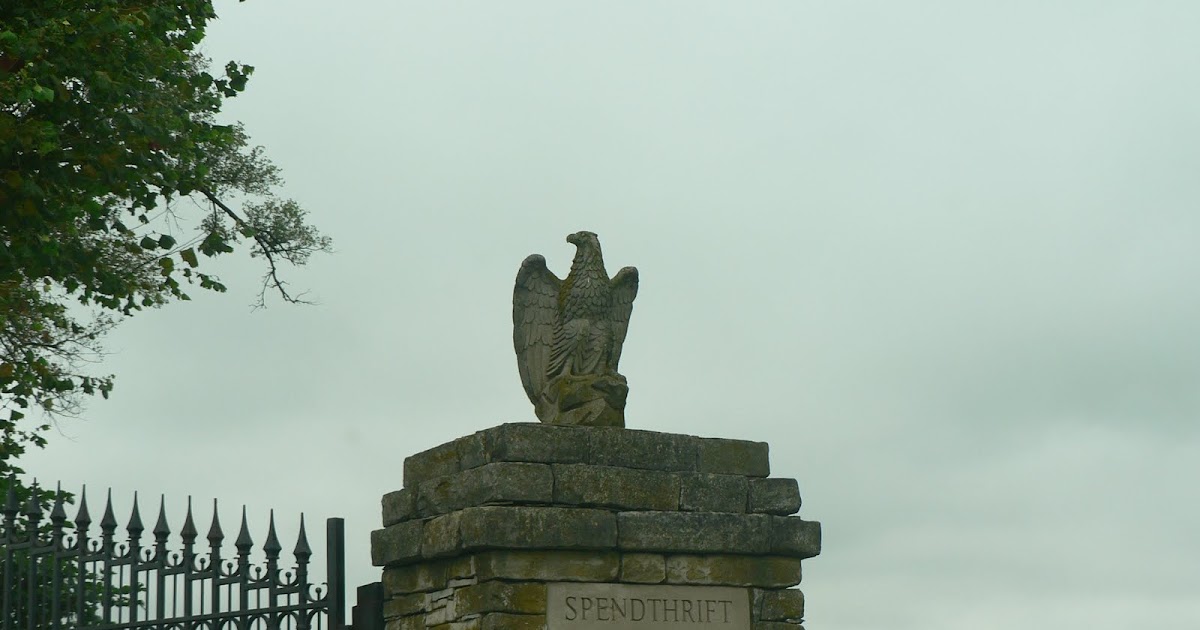 Running Rough Shod: A Gallant Man, Indeed