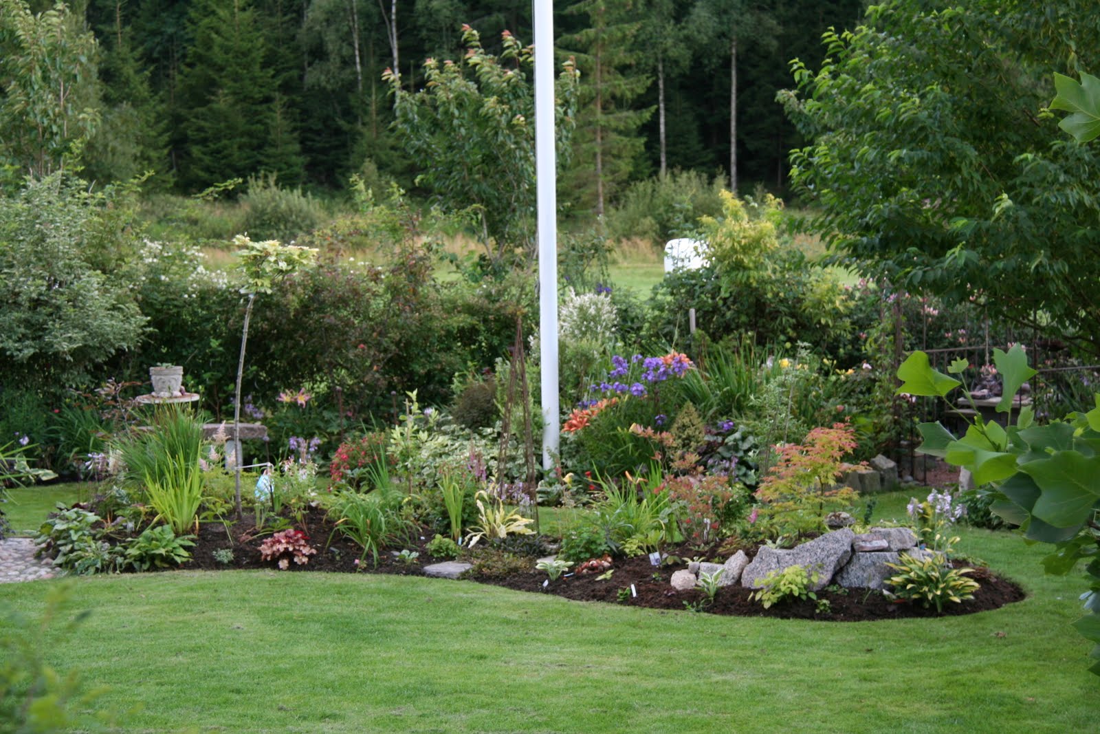 Trädgård ... drakar och lite annat!: Den nya rabatten vi gjorde i våras ...