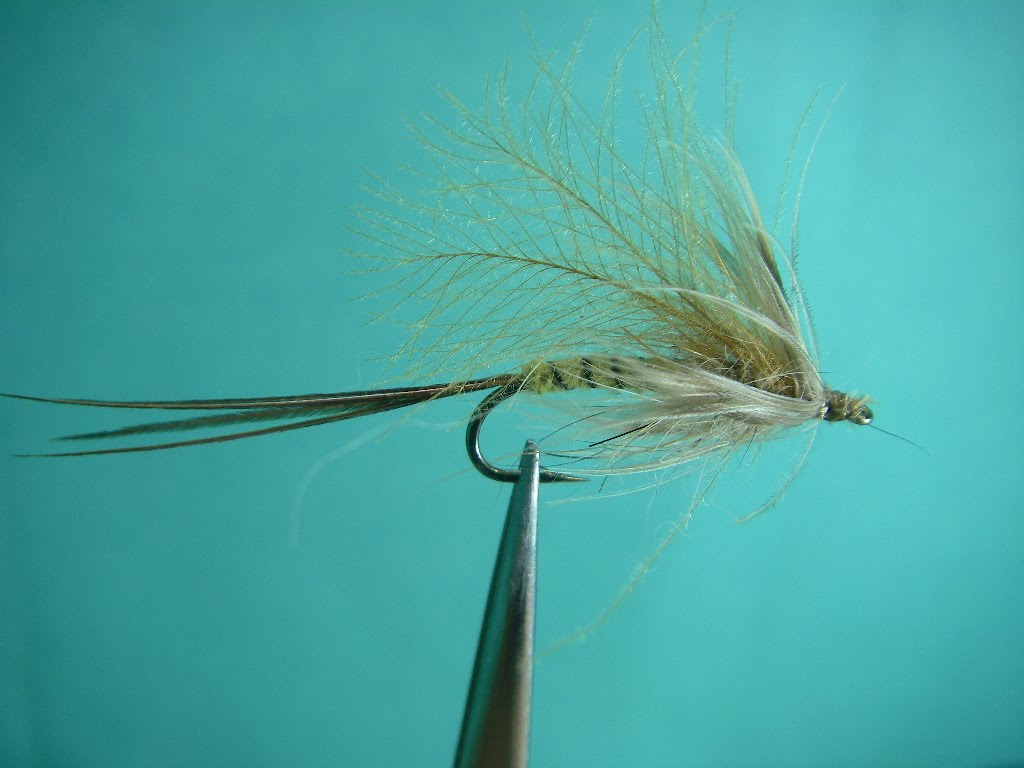 Tillan Italian Fly Angler: May Fly o Mosca di Maggio