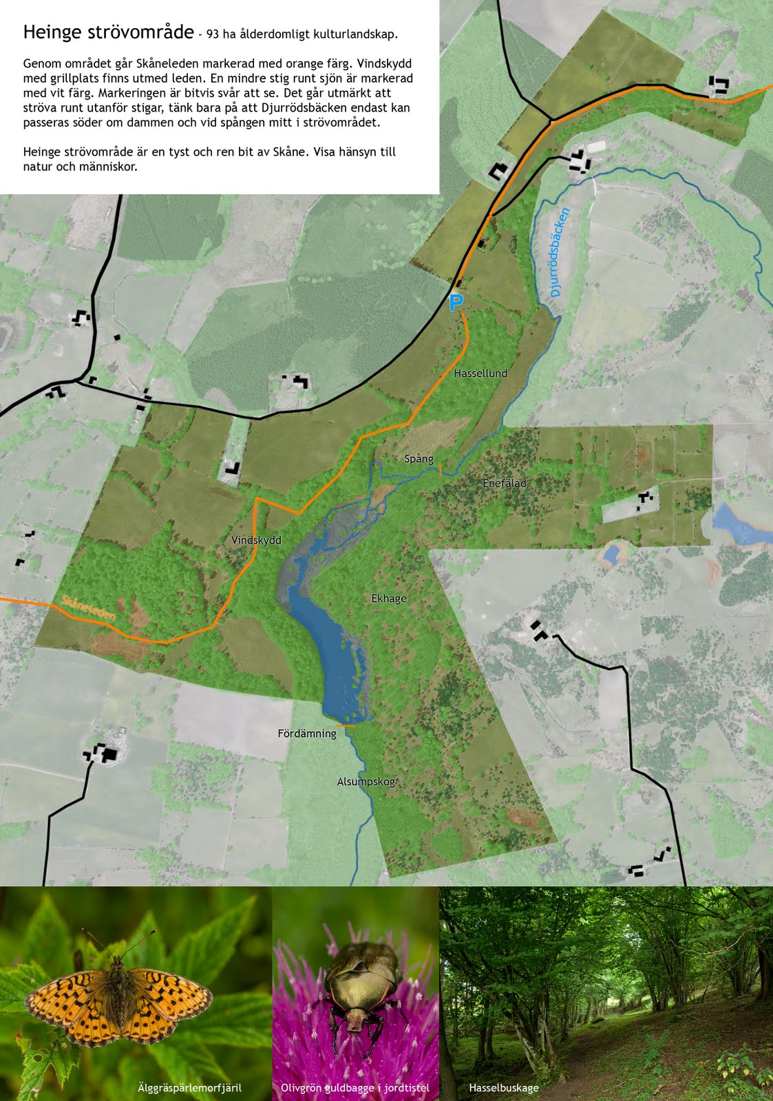 Ut i Sjöbo: Heinge strövområde