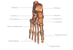 Con la cabeza en los pies