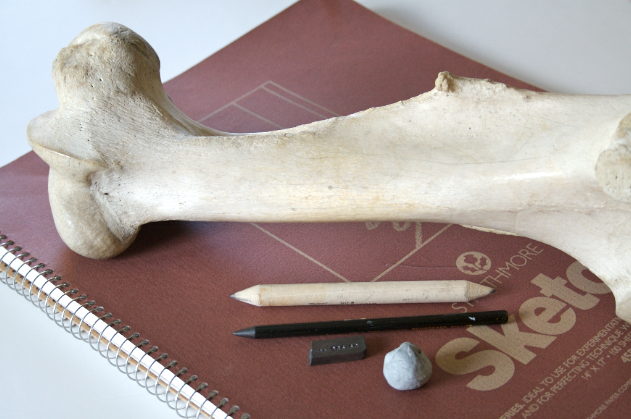 Habit of Art: Bones, a great subject for value drawings