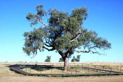 Gallivantour: Hughenden Qld