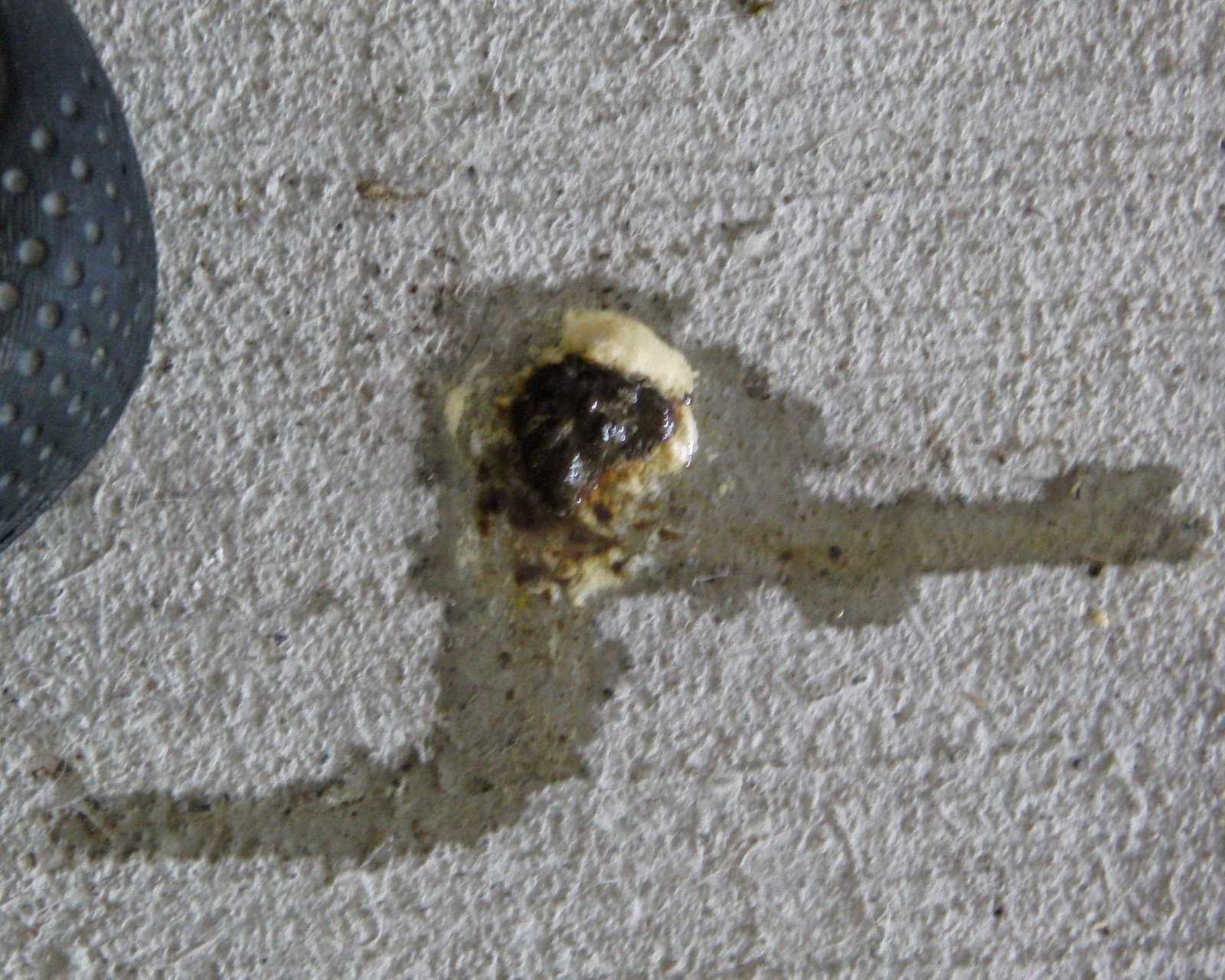 Mr Blandings Dream House: Snake poop