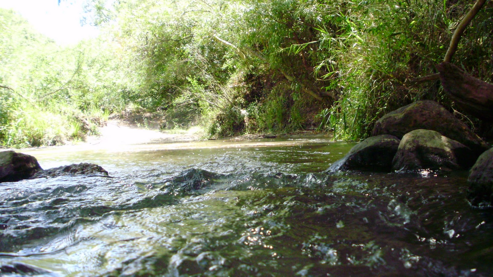 Turismo y Cultura San Salvador: Naturaleza