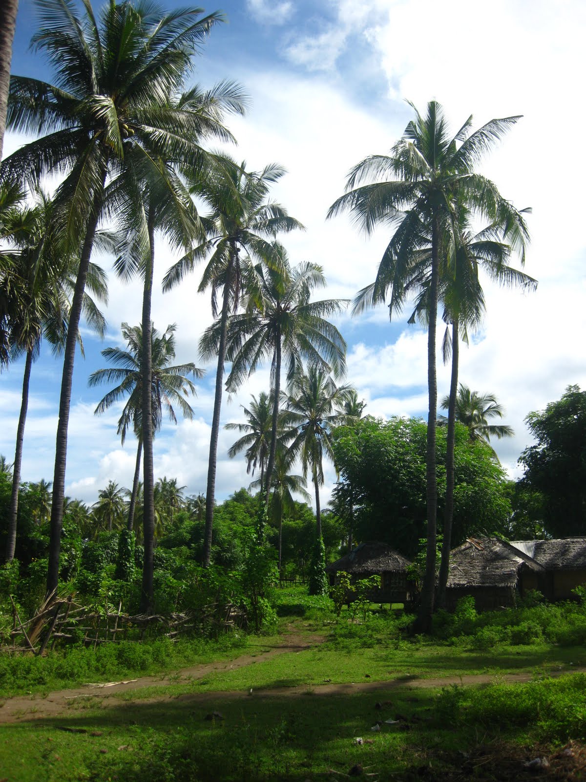 Around The World: Gilli Gilli Gilli