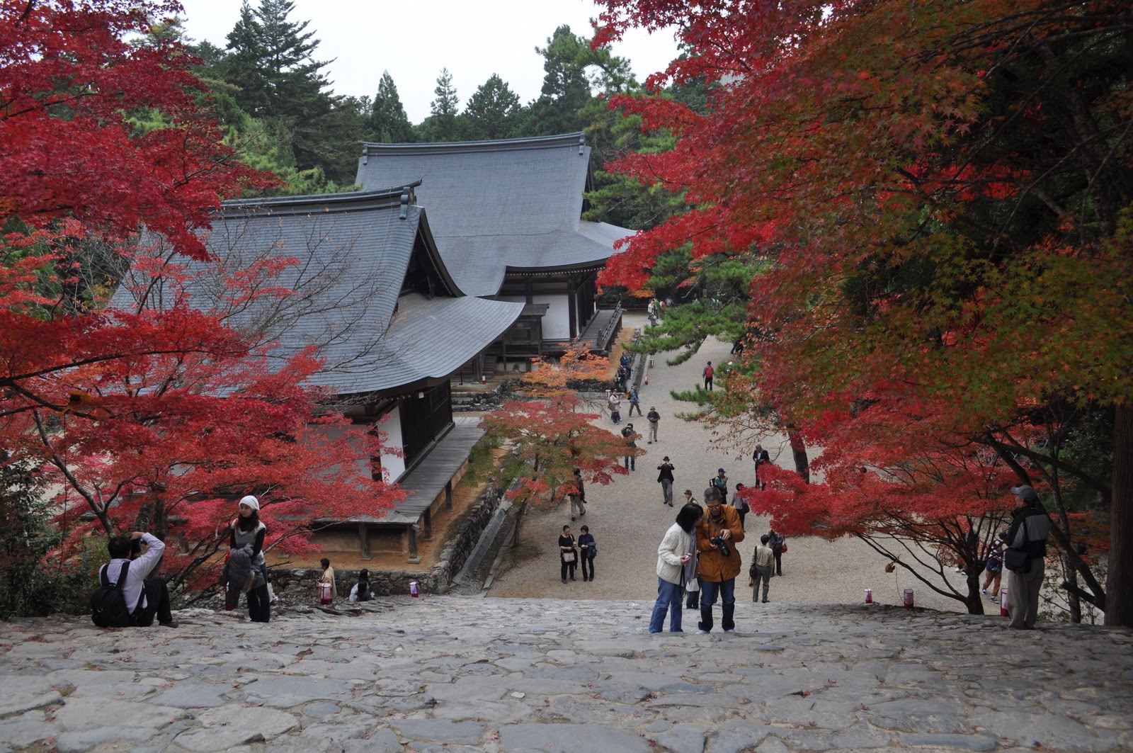 Kyoto Free Guide Available on Weekend !: Autumn Colors Guide Review ...