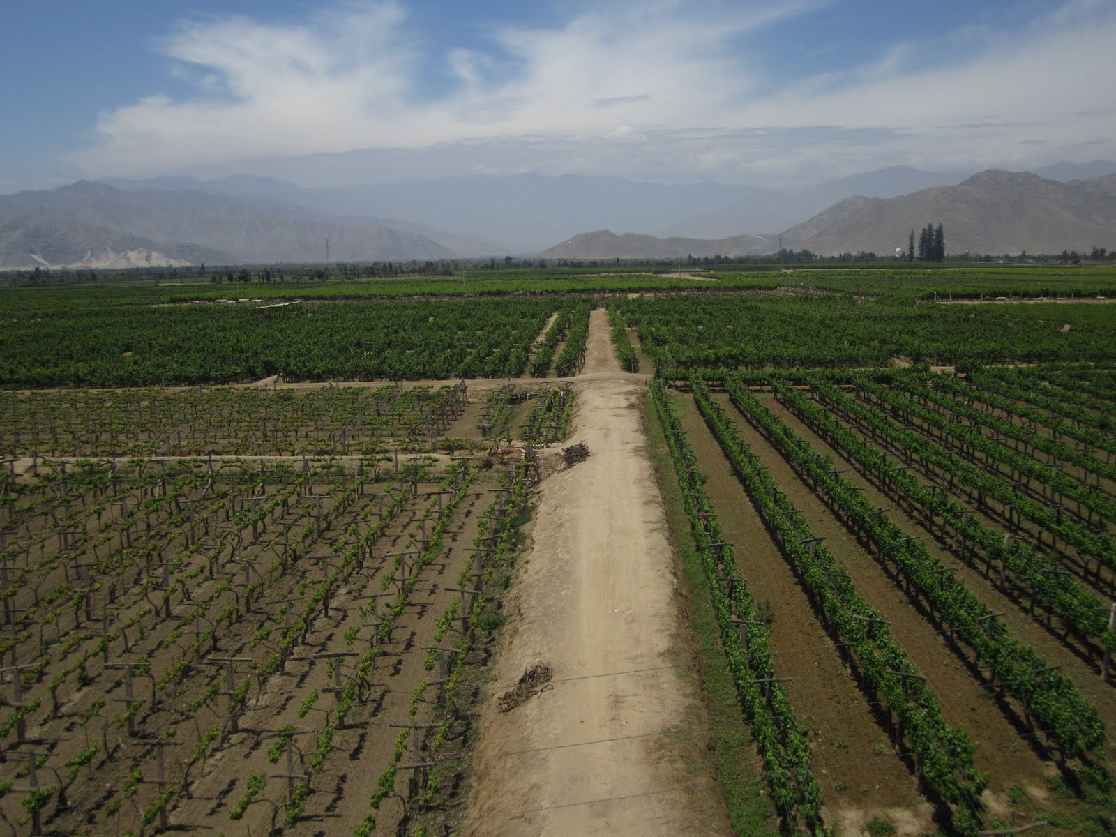 Christine in Huaycan: Huacachina (Updated)