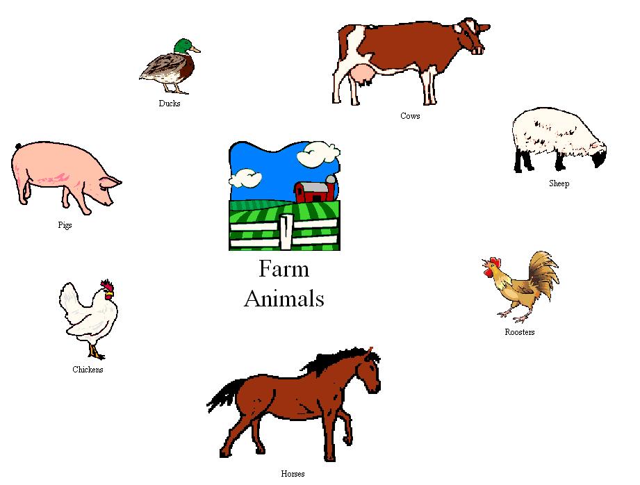 Jemima's ICT Blog: Week 1