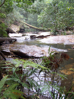 ROCK'S ADVENTURES: AUSTRALIA - Waitui Falls - september 2008