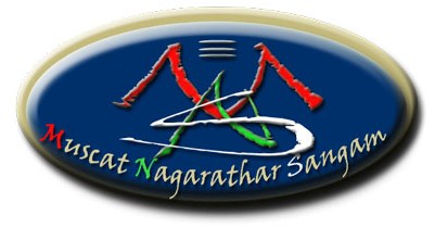 Mns Party Logo
