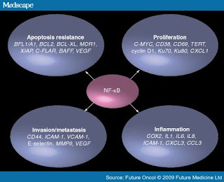 Functional Nutrition: NF-kB the Source of ALL Inflammation