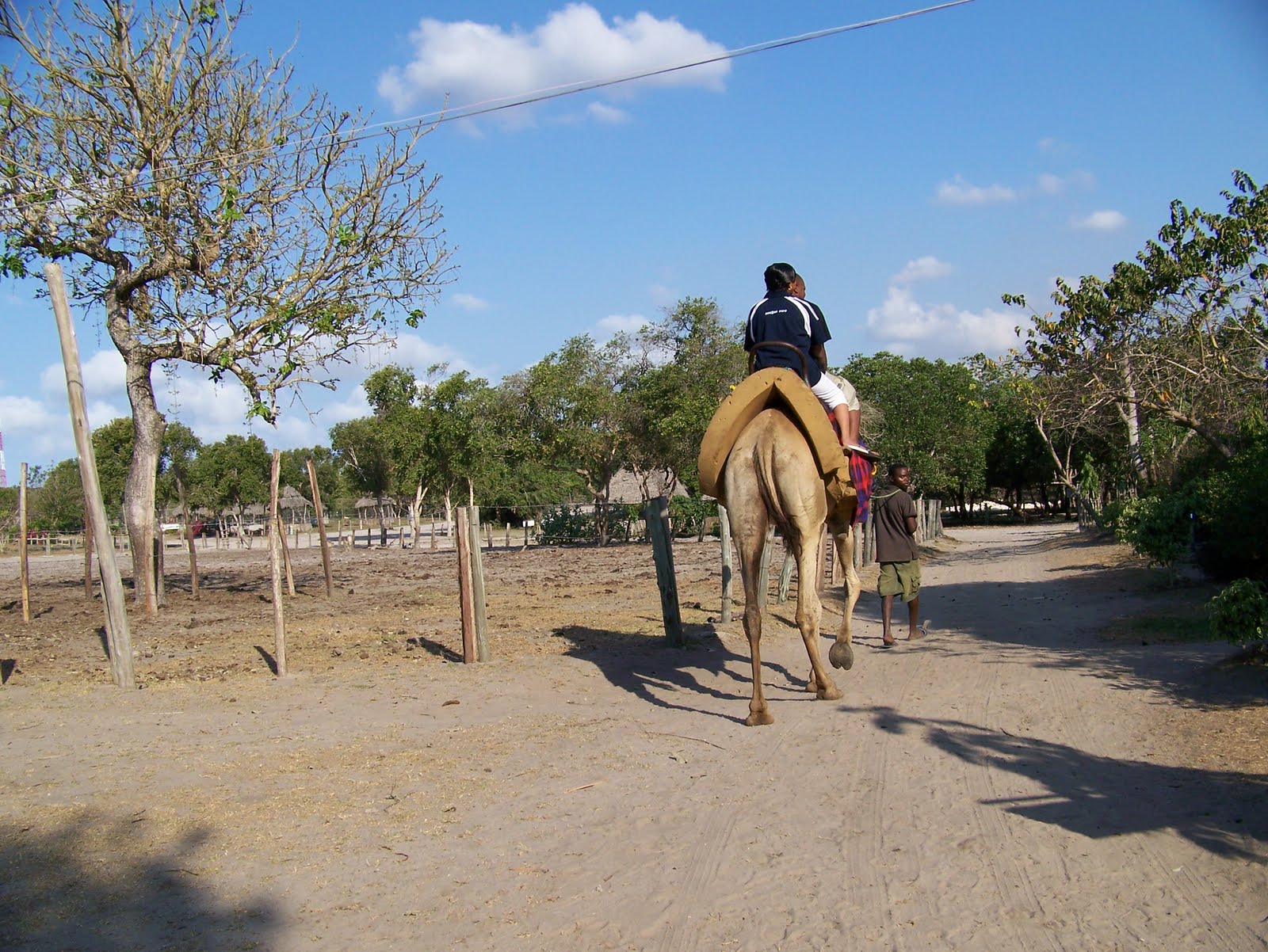 T-E-M-B-E-A Tanzania: Dar Es Salaam Zoo...