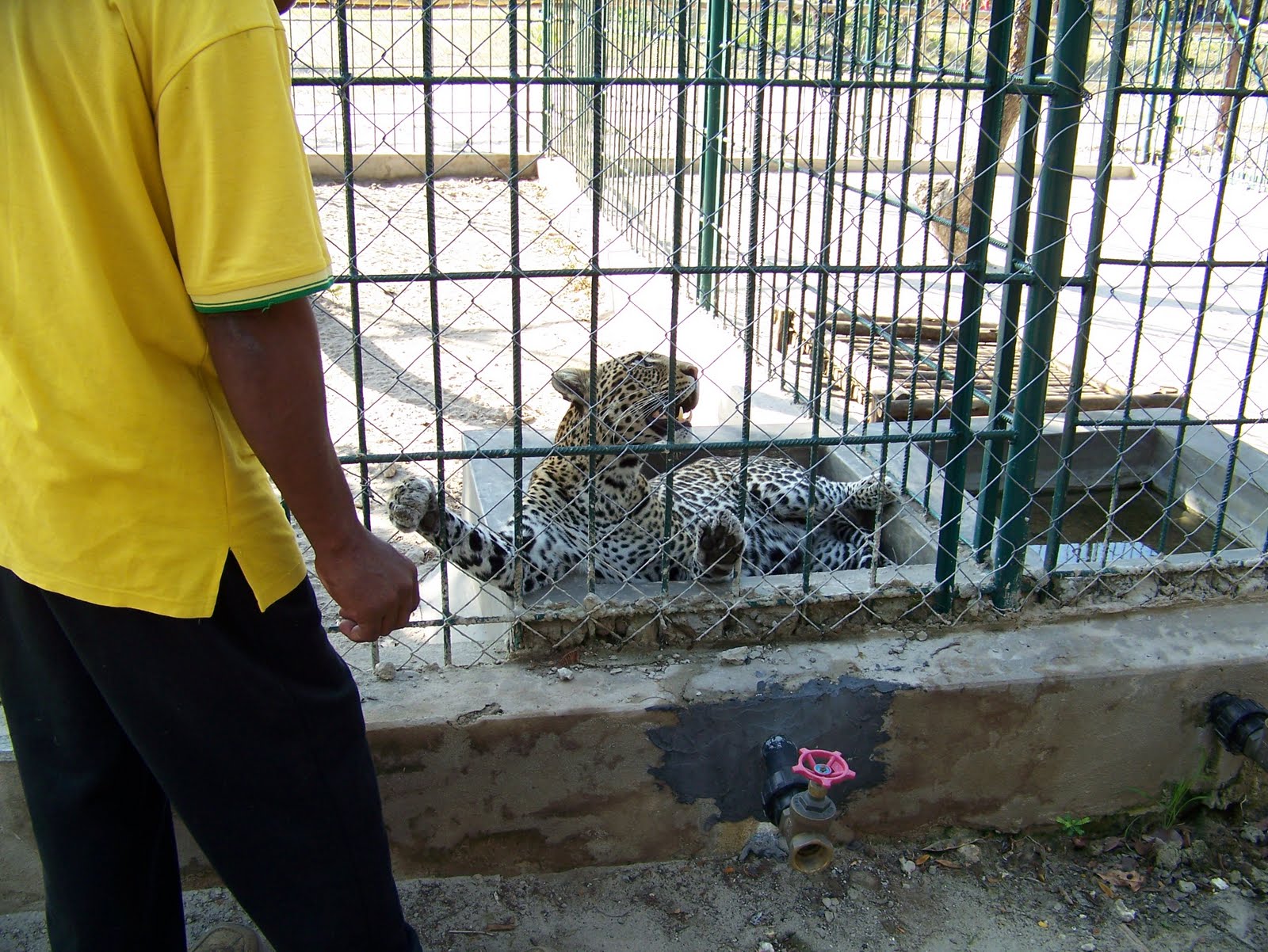 T-E-M-B-E-A Tanzania: Dar Es Salaam Zoo...