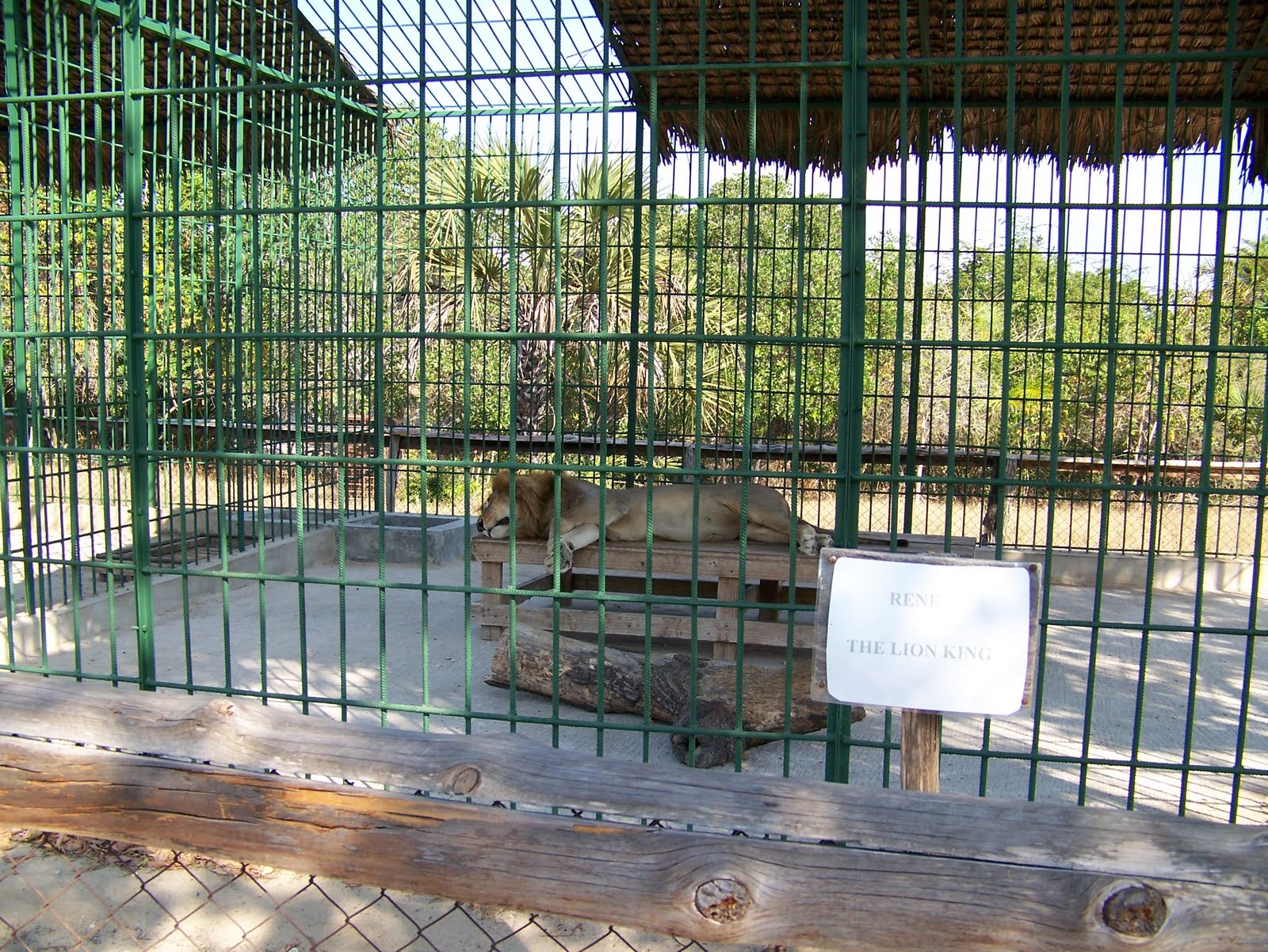 T-E-M-B-E-A Tanzania: Dar Es Salaam Zoo...