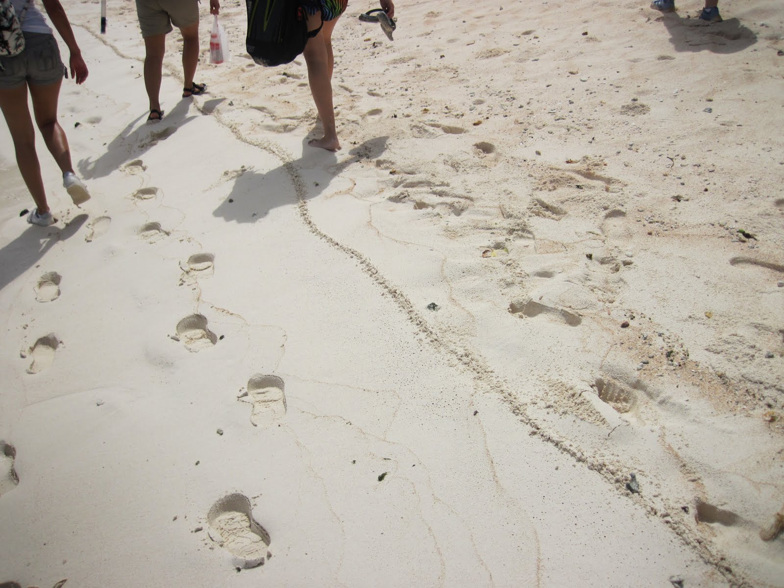 where the heck is guam?: shark's hole...