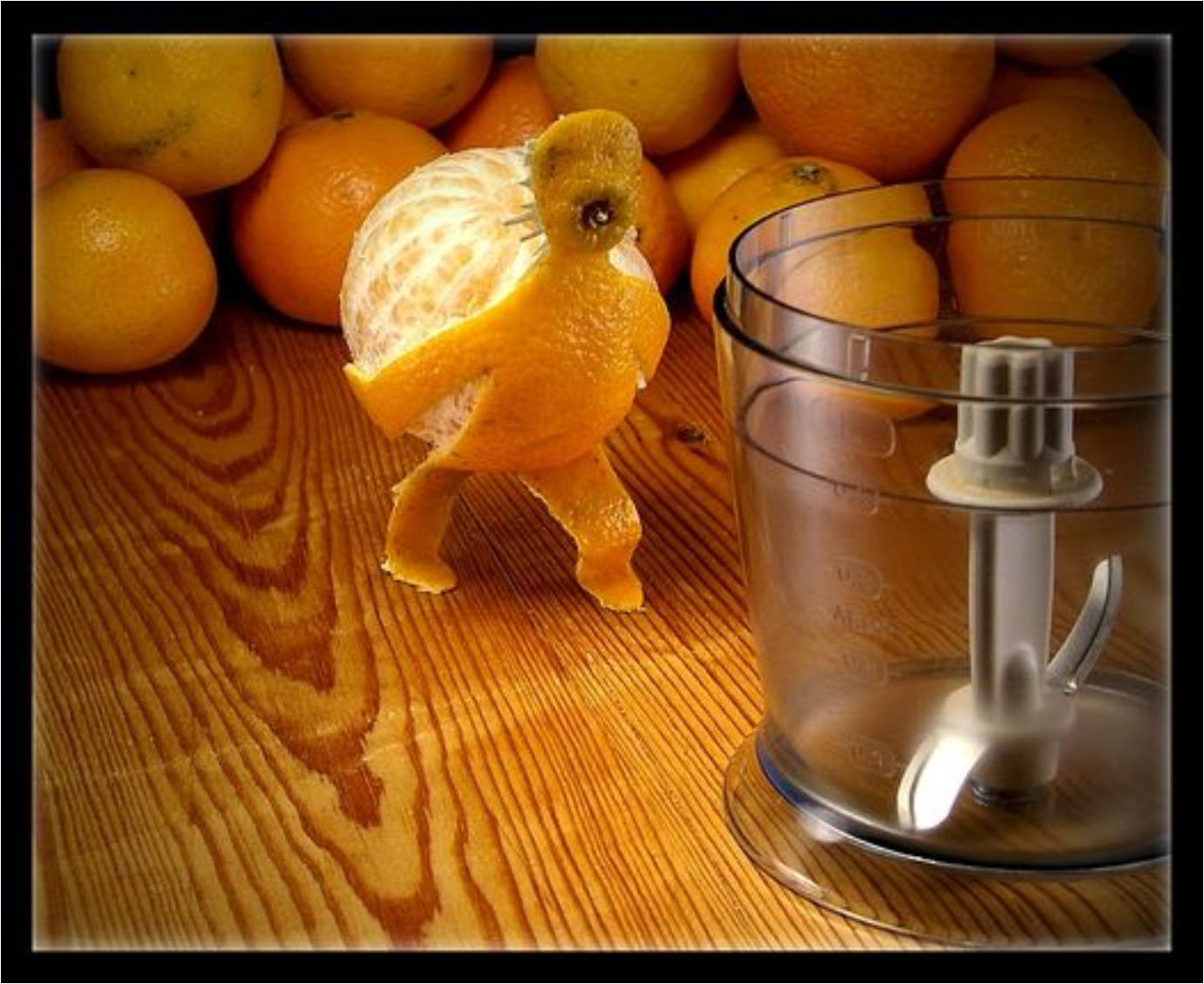 Interesting: Fotos Interessantes