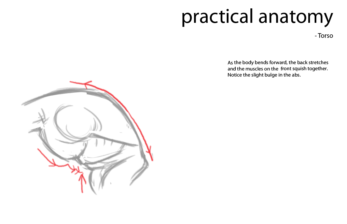Design Lessons: Practical Anatomy