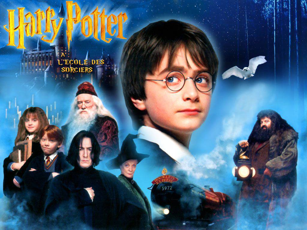 harry potter: harry potter 1