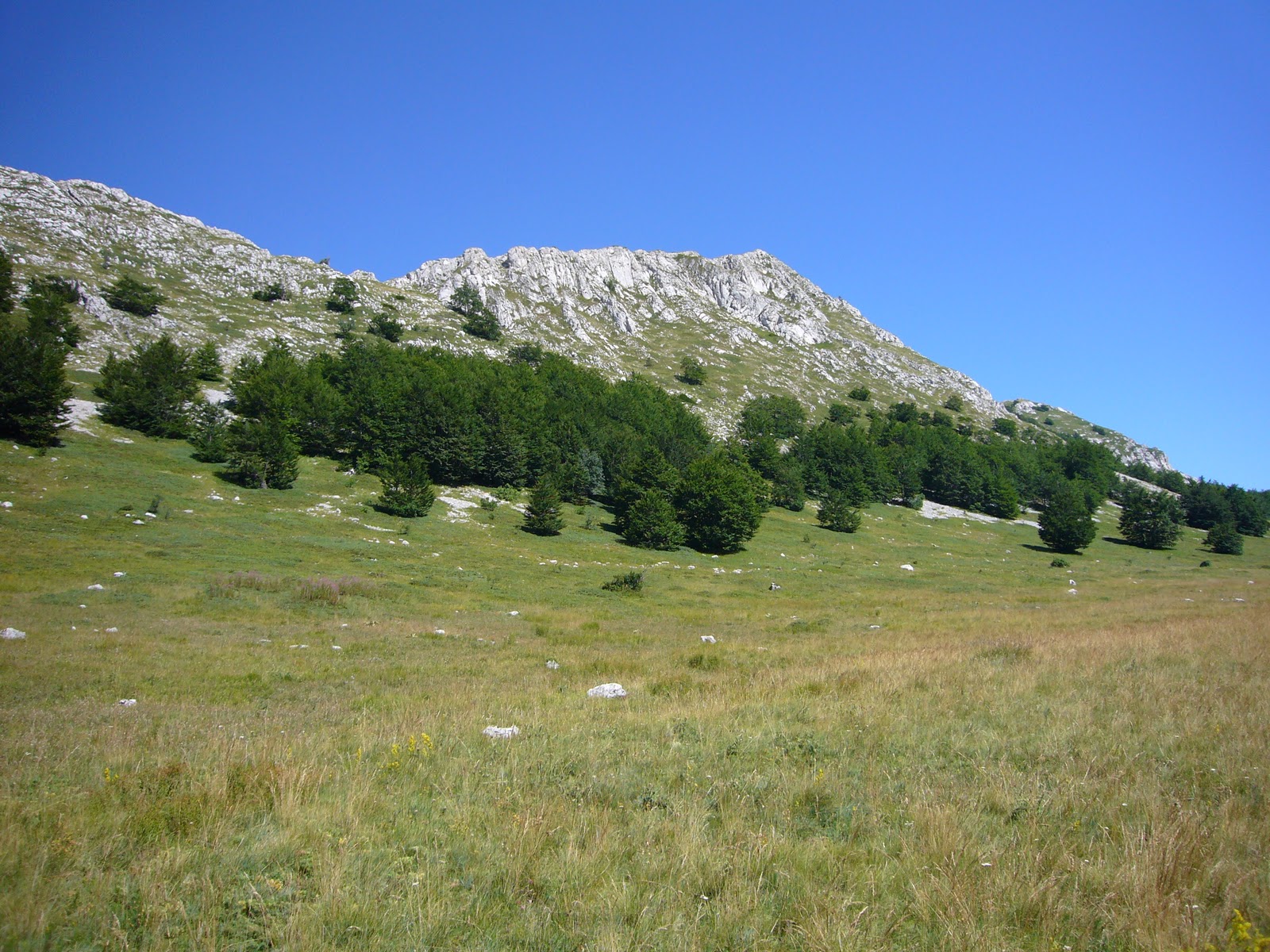 camminare leggendo: Da Castel del Monte al monte Cappucciata
