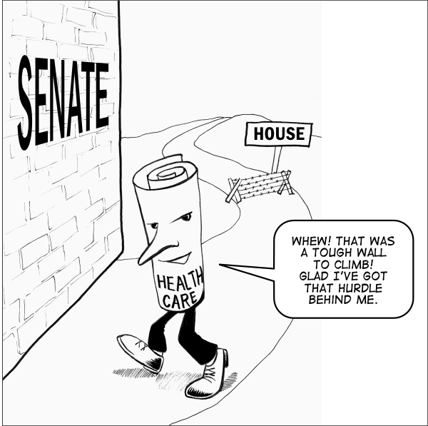 Senate And House Of Representatives Comic