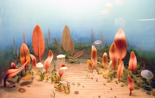 GeoLog Blog: Great Fossil Faunas, II: The Ediacara Fauna