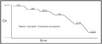 transect points: Redox Cascade