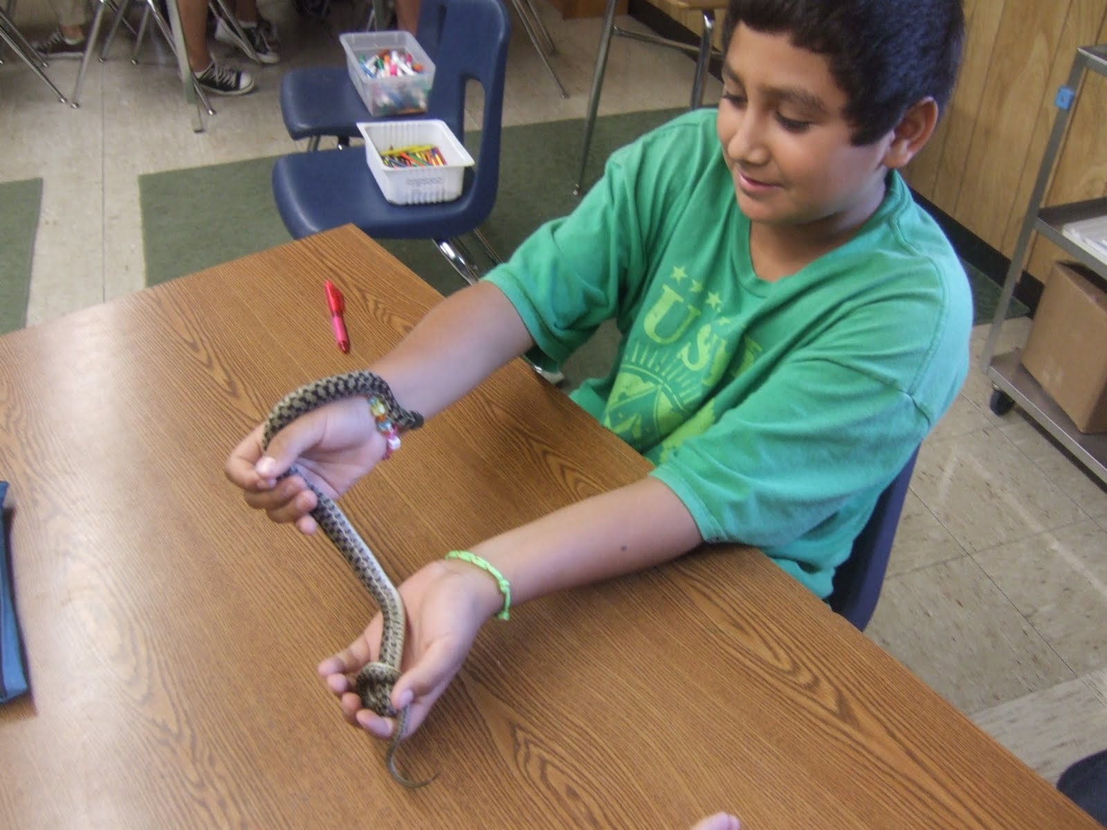 In Small Gardens: Snakes in Classrooms