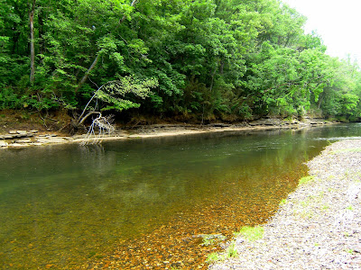 Southeastern Fly: Fly Fishing the Elk River Tennessee