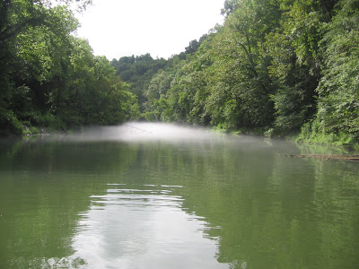 Southeastern Fly: Catching & Fishing the Elk River TN