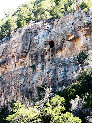 Susan's Wildish Whims: 04/19/08