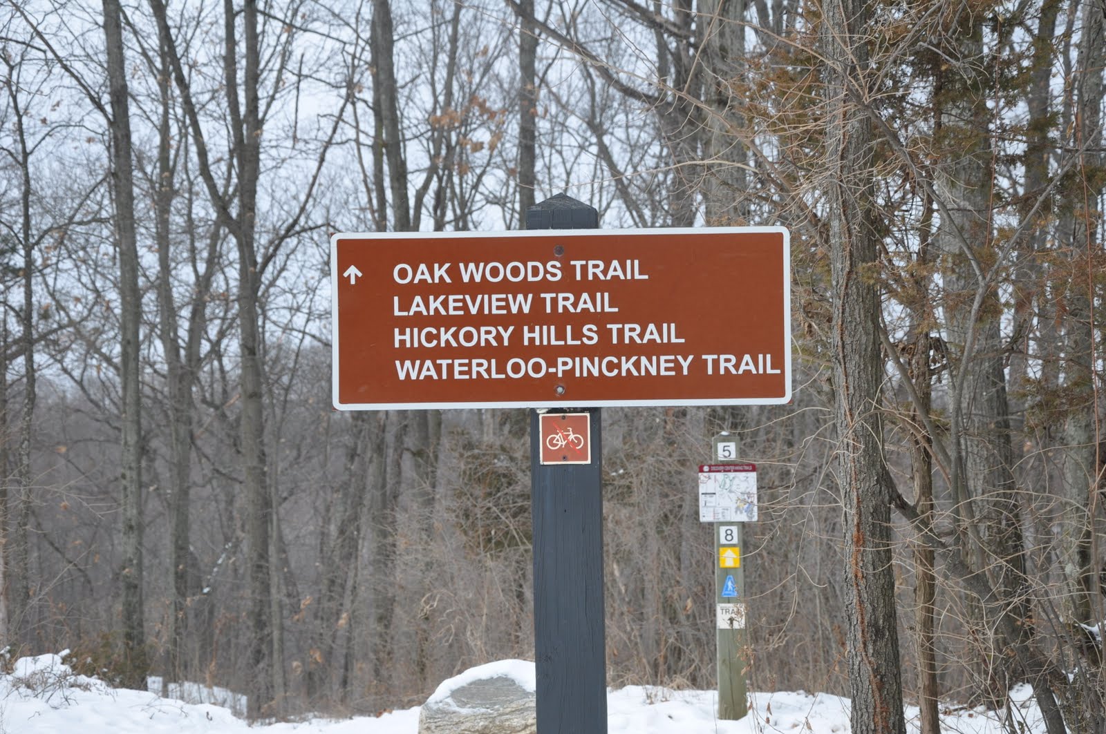 An Adirondack Naturalist in Central New York: The Waterloo Recreation Area