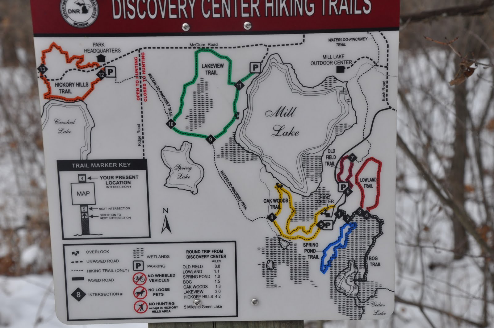 An Adirondack Naturalist in Central New York: The Waterloo Recreation Area