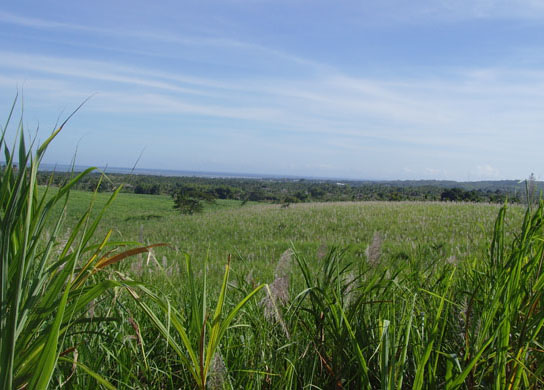 Bogo City Cebu Province