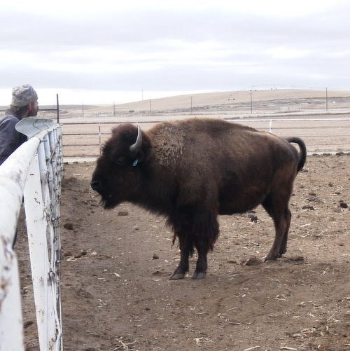 Cookistry: Local Colorado Products