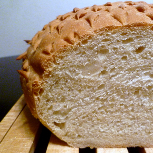 Cookistry: Honey Hedgehog Bread