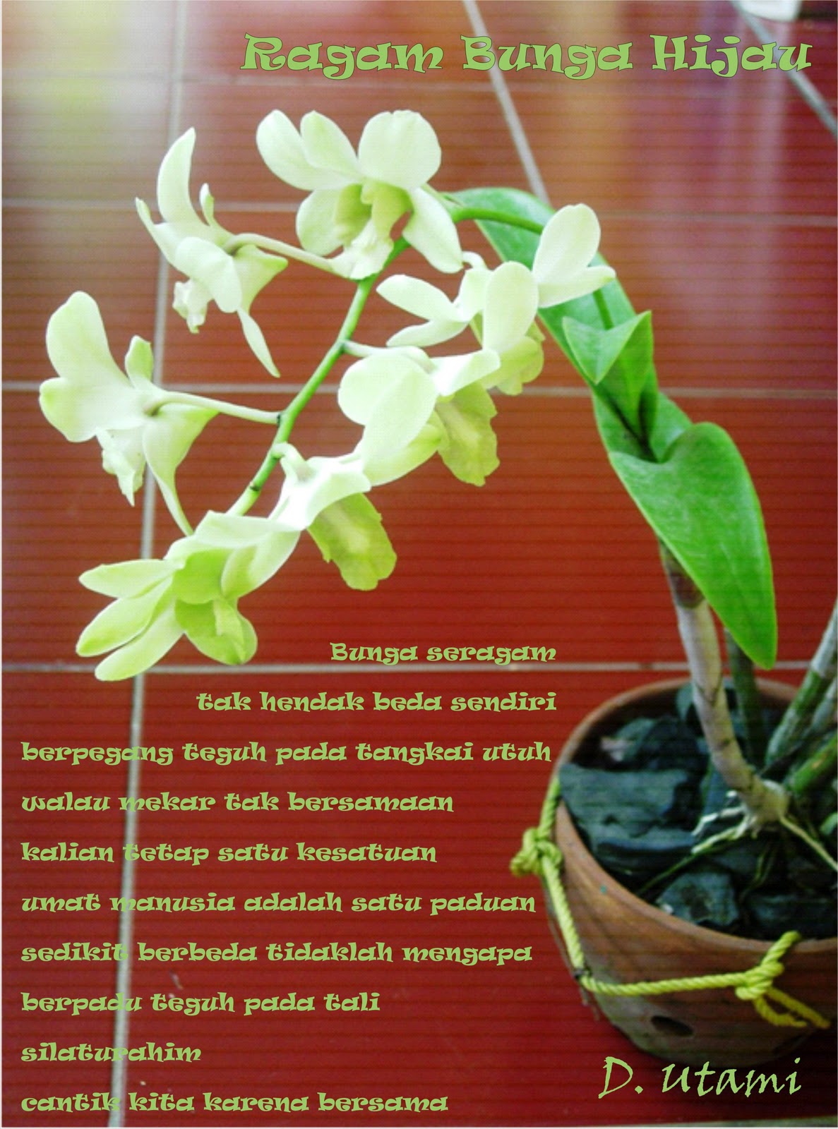 Wow 13+ Gambar Bunga Anggrek Hijau - Gambar Bunga Indah